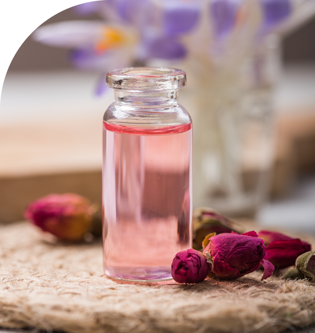 About Us – Bio Valley